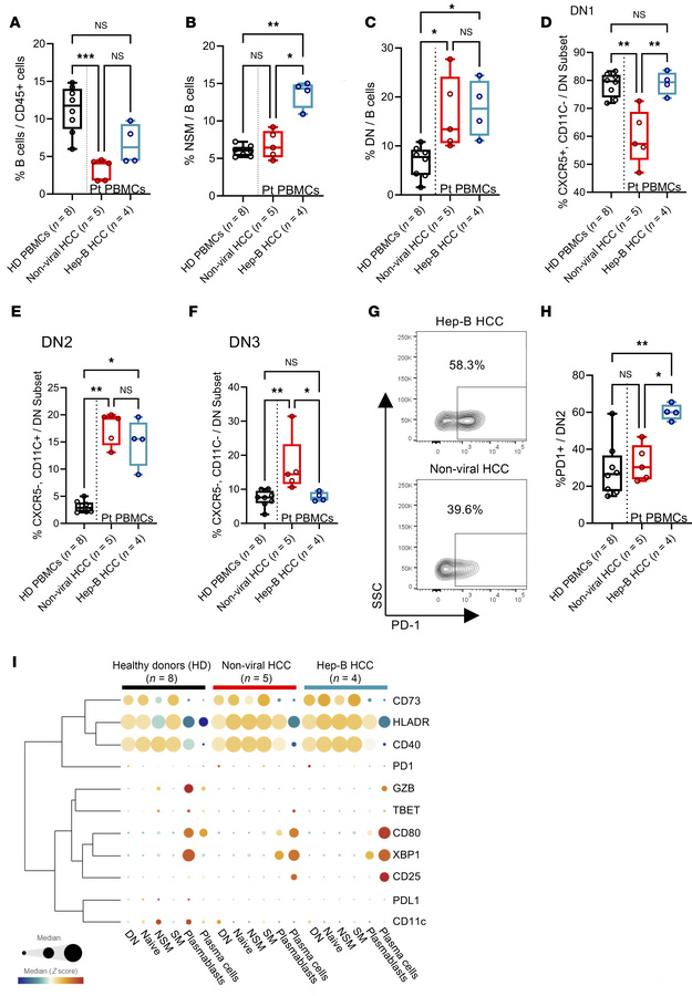 JCI Insight - Atypical memory B cells acquire Breg phenotypes in ...