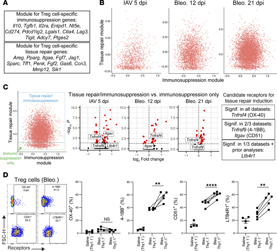 JCI Insight - An amphiregulin reporter mouse enables transcriptional and clonal expansion ...