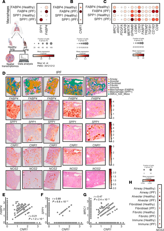 JCI Insight - Targeting cannabinoid receptor 1 for antagonism in pro ...