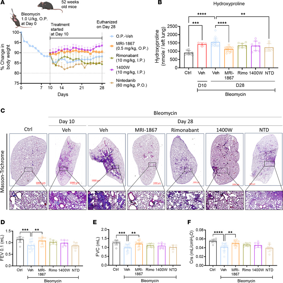 JCI Insight - Targeting cannabinoid receptor 1 for antagonism in pro ...