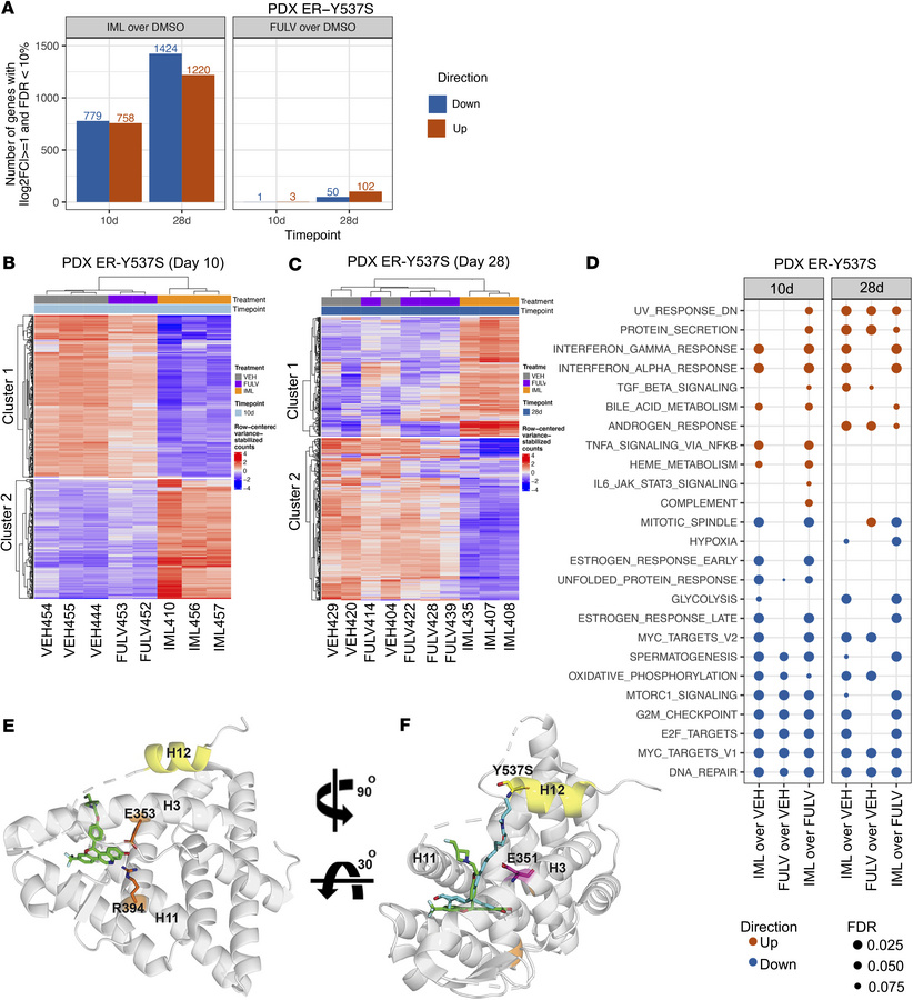 JCI Insight - Imlunestrant a next-generation oral SERD overcomes ESR1 ...