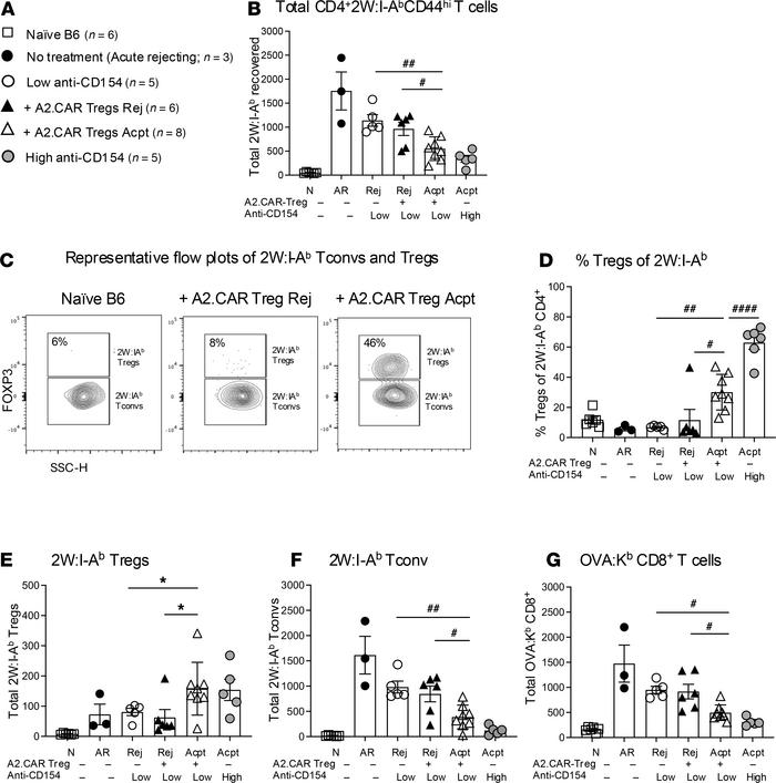 JCI Insight - CAR Treg synergy with anti-CD154 promotes infectious ...