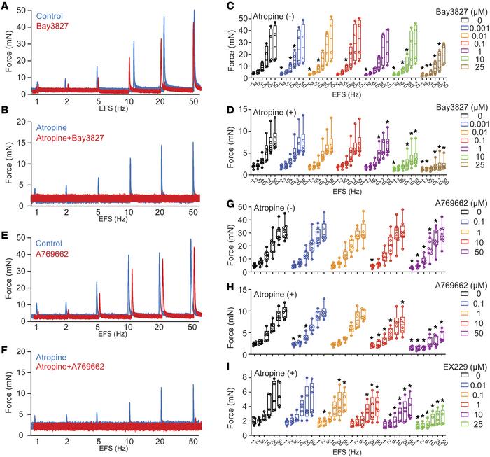 JCI Insight - Adiponectin signaling regulates urinary bladder function ...