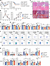 JCI Insight - α7nAChR on B cells directs T cell differentiation to ...