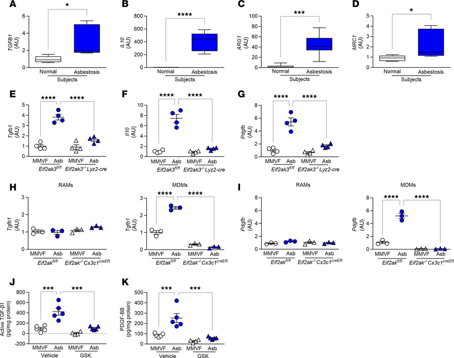 JCI Insight - The PERK/ATF4 pathway is required for metabolic ...