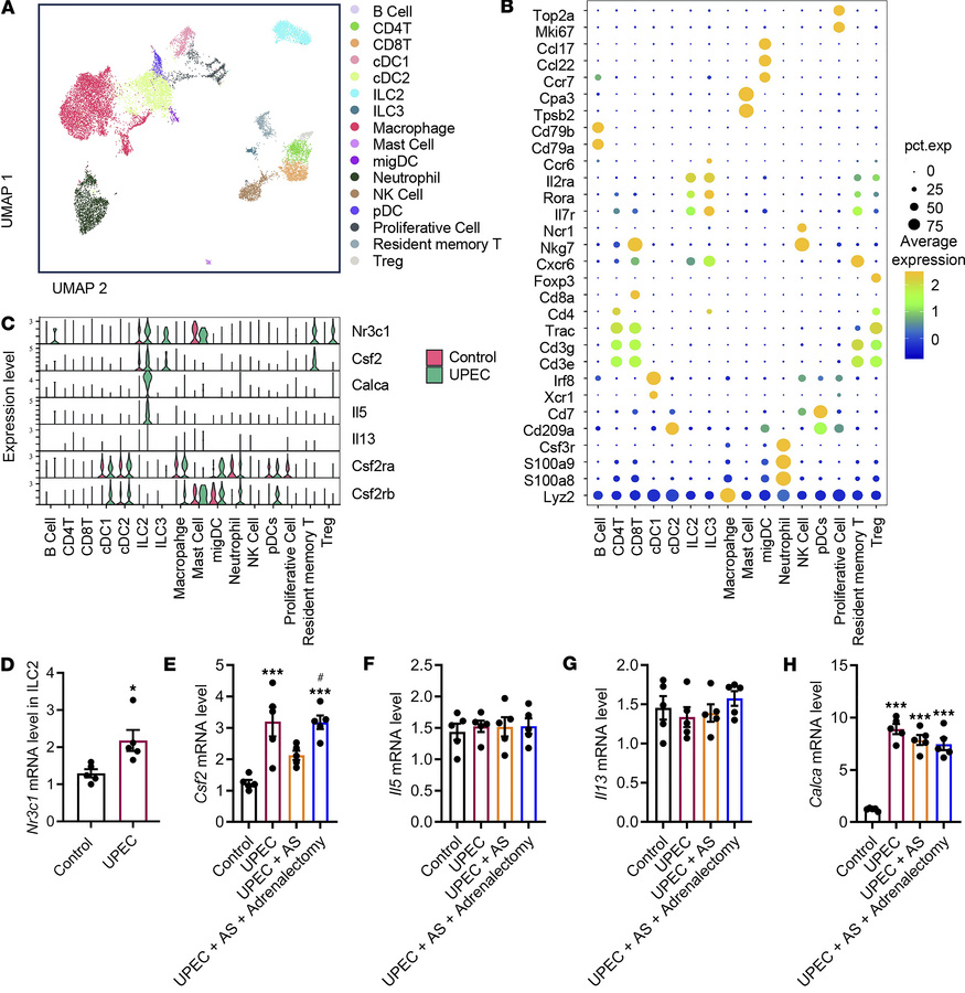 JCI Insight - The brain-body circuit mediates acute stress–induced ...