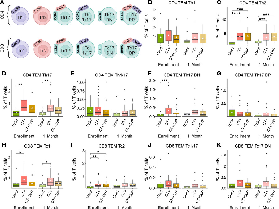 JCI Insight - T cell signatures associated with reduced Chlamydia ...