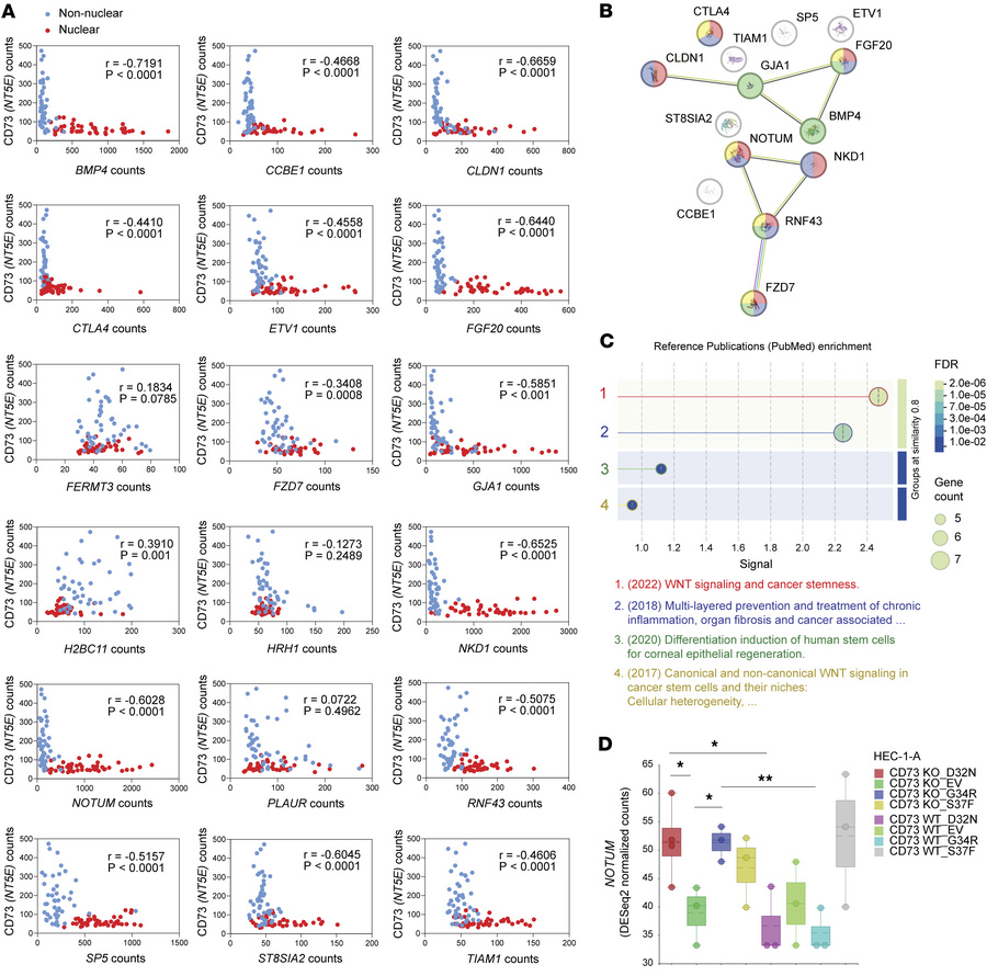 JCI Insight - CD73 restrains mutant β-catenin oncogenic activity in ...