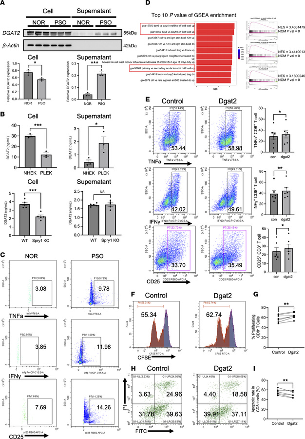 JCI Insight - DGAT2 reduction and lipid dysregulation drive psoriasis ...
