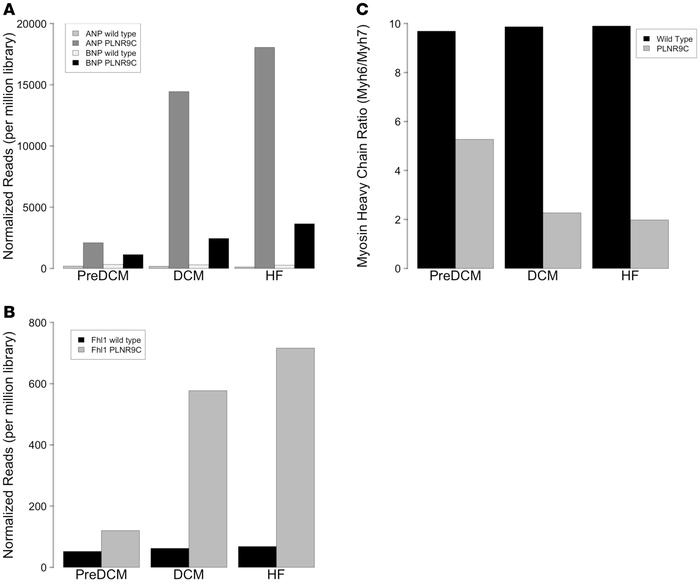JCI Insight - Molecular profiling of dilated cardiomyopathy that ...