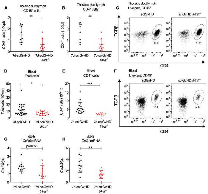 JCI Insight - IL4RA on lymphatic endothelial cells promotes T cell ...