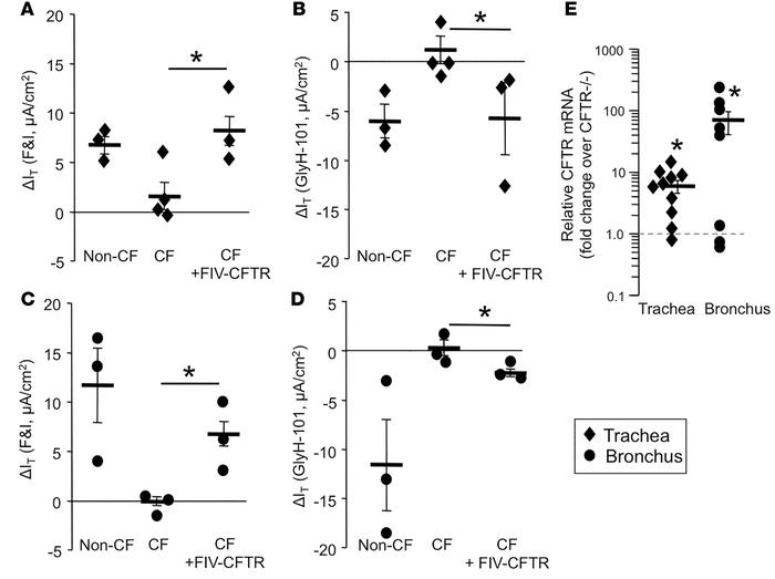 JCI Insight - Lentiviral-mediated phenotypic correction of cystic ...
