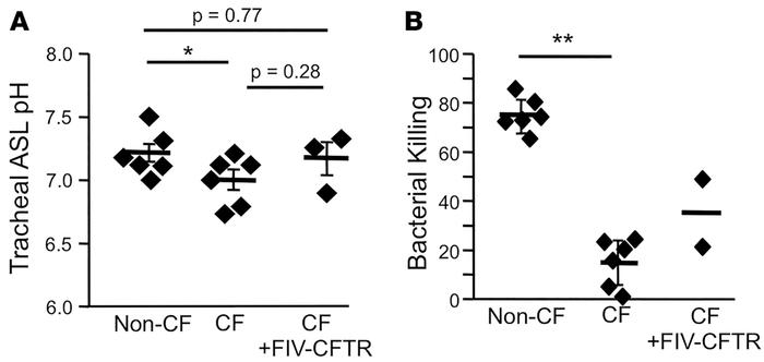 JCI Insight - Lentiviral-mediated phenotypic correction of cystic ...