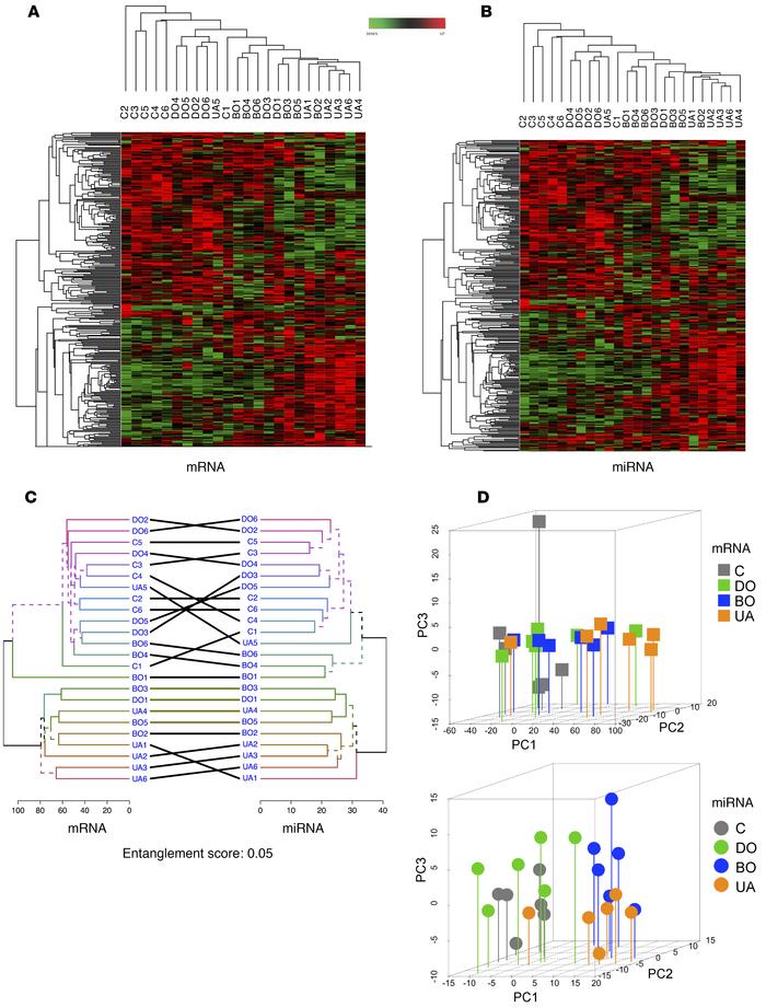JCI Insight - Characterization of miRNA-regulated networks, hubs of ...