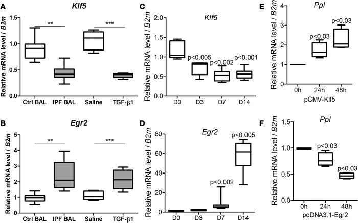 JCI Insight - Identification of periplakin as a major regulator of lung ...