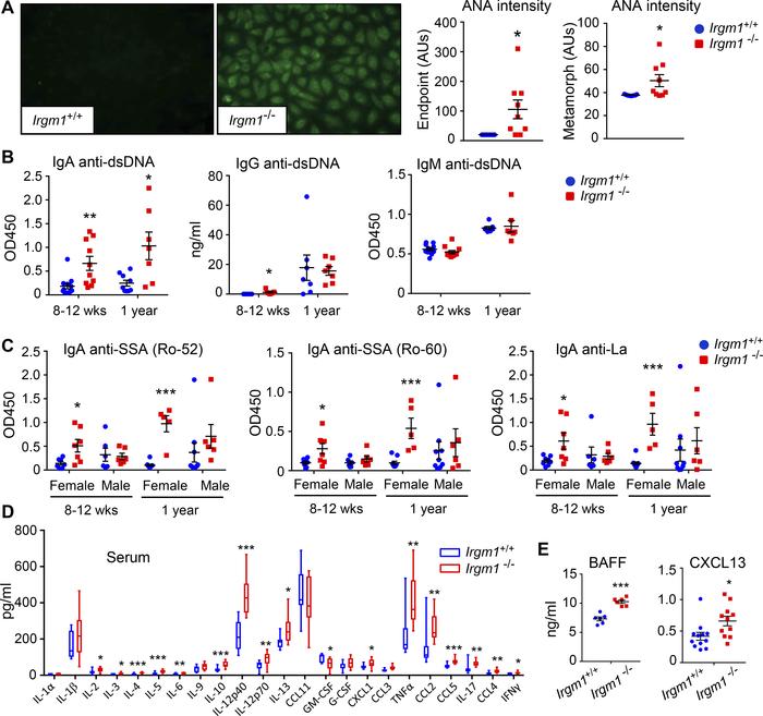 JCI Insight - Irgm1 coordinately regulates autoimmunity and host ...