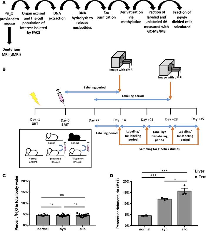 JCI Insight - In vivo kinetics and nonradioactive imaging of rapidly ...