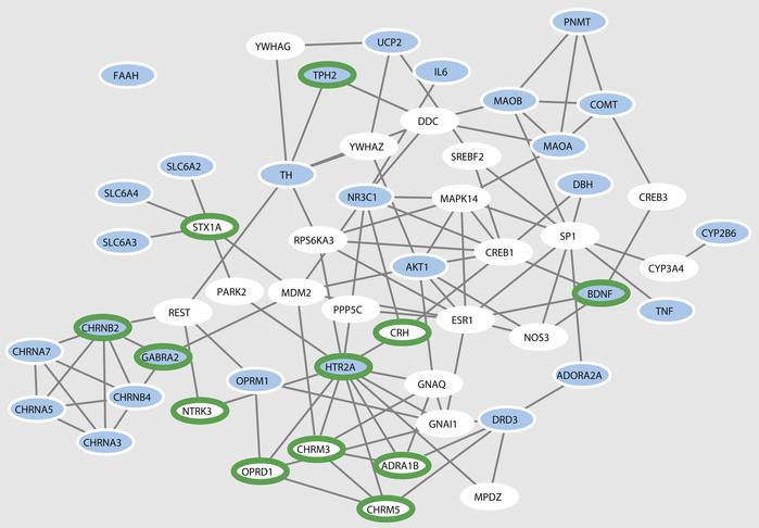 JCI Insight - Network analysis of the genomic basis of the placebo effect