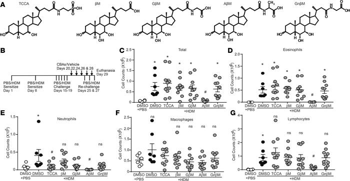 JCI Insight - Conjugated bile acids attenuate allergen-induced airway ...