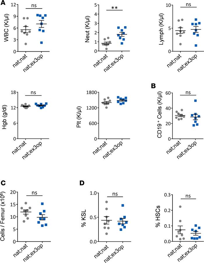 JCI Insight - Wild-type Kras expands and exhausts hematopoietic stem cells